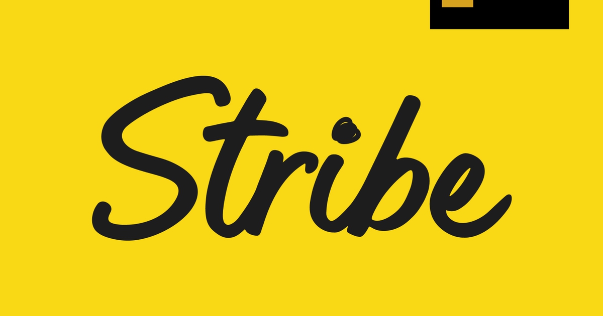 Transform Awards 2023 | White Bear